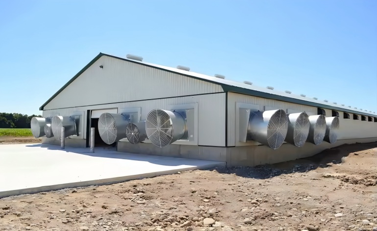 Steel Structure Chicken House: Ideal for Global Modern Poultry Farming ...